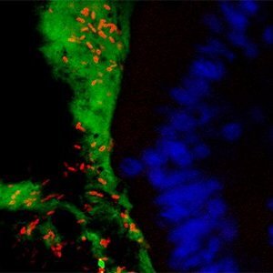 Juge lab (@JugeLab@mstdn.science) - mstdn.science