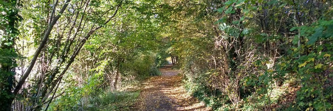 Mike Deeks (@DeeksLab@mstdn.science) - mstdn.science