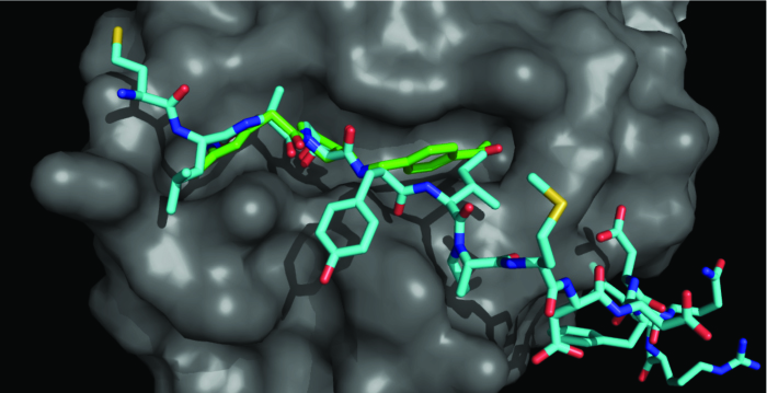 CRAIG M CREWS (@crews@mstdn.science) - mstdn.science