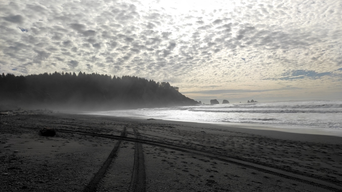 Christian Diener (@thaasophobia@mstdn.science) - mstdn.science