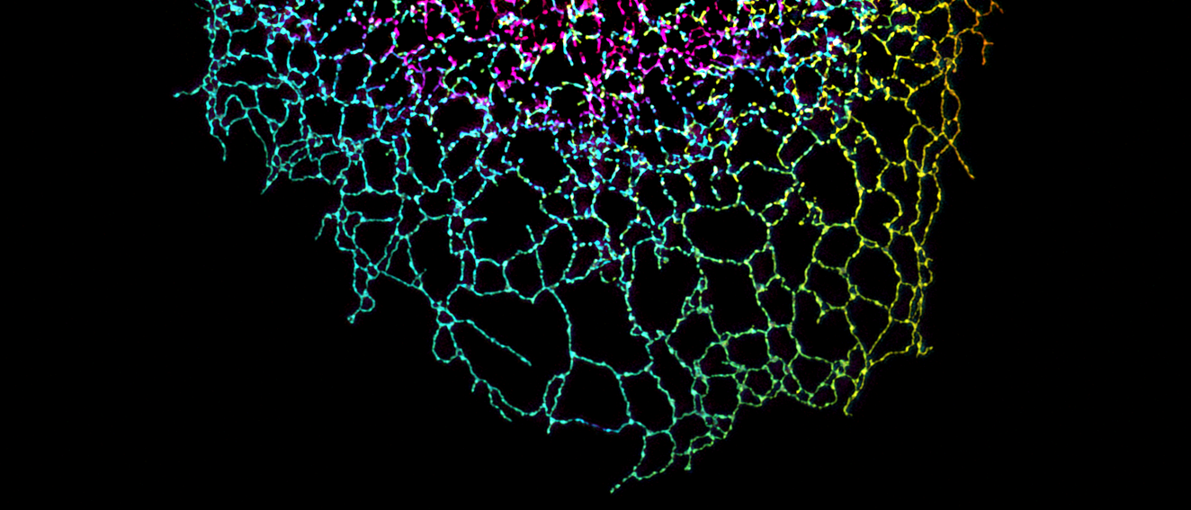 Jonny Nixon-Abell (@AbellJonny@mstdn.science) - mstdn.science