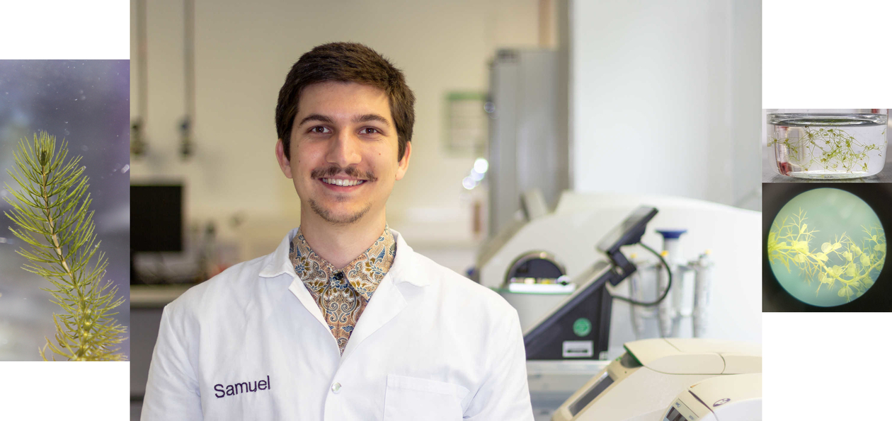 Samuel Nestor Meckoni (@samnm@mstdn.science) - mstdn.science