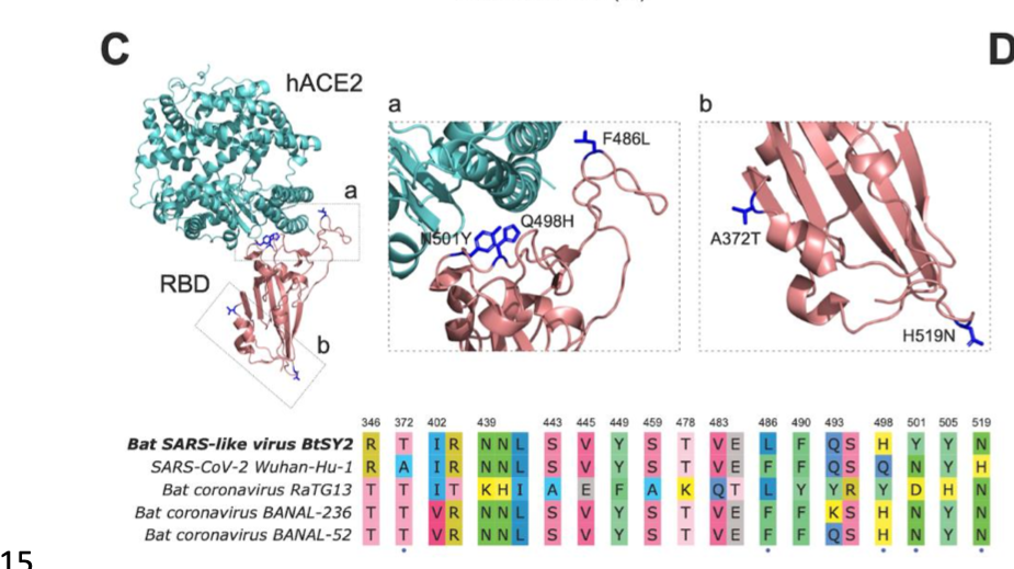 Sigrid Neuhauser (@Sigrid@mstdn.science) - mstdn.science