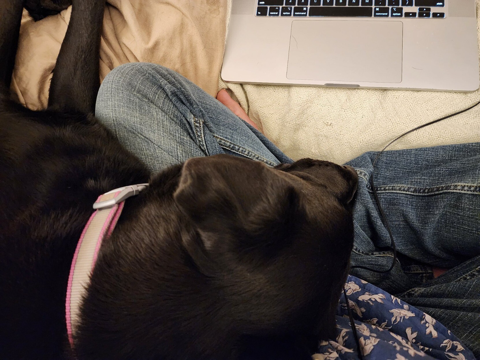 Jason Rasgon (@vectorgen@mstdn.science) - mstdn.science