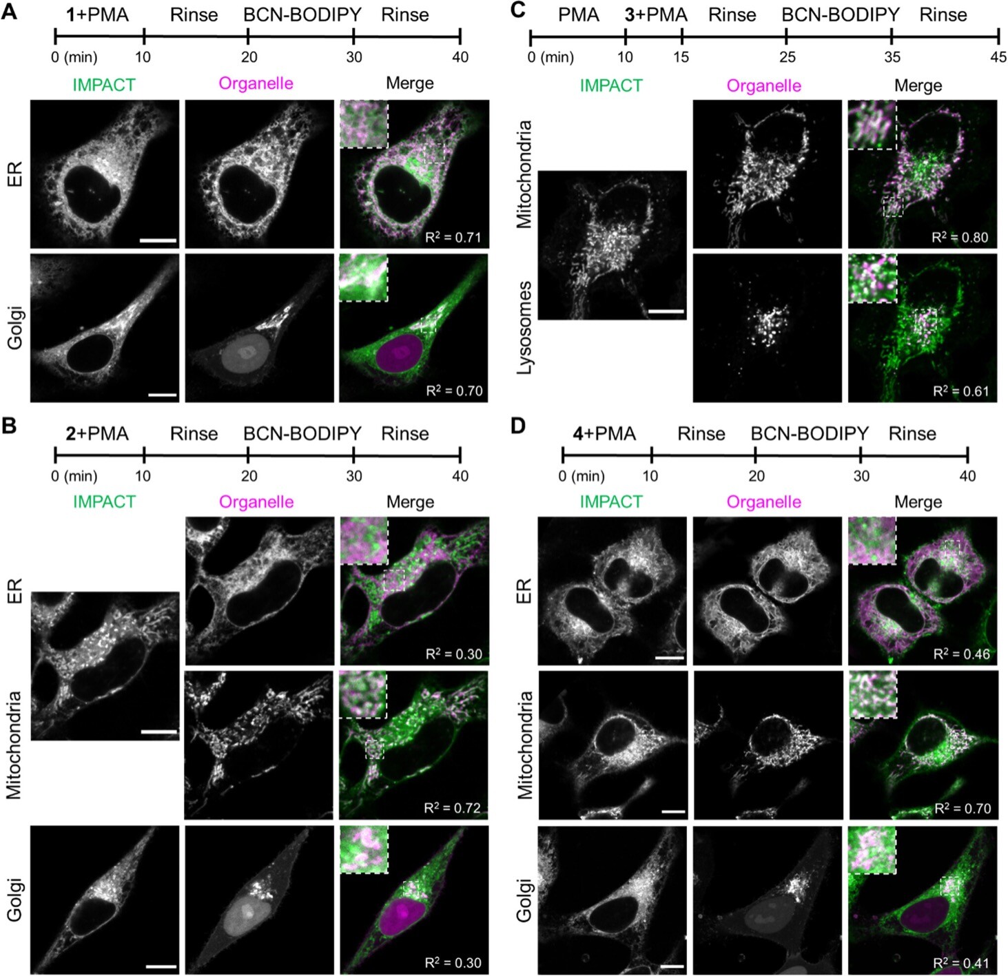 André Nadler (@nadlerlab@mstdn.science) - mstdn.science