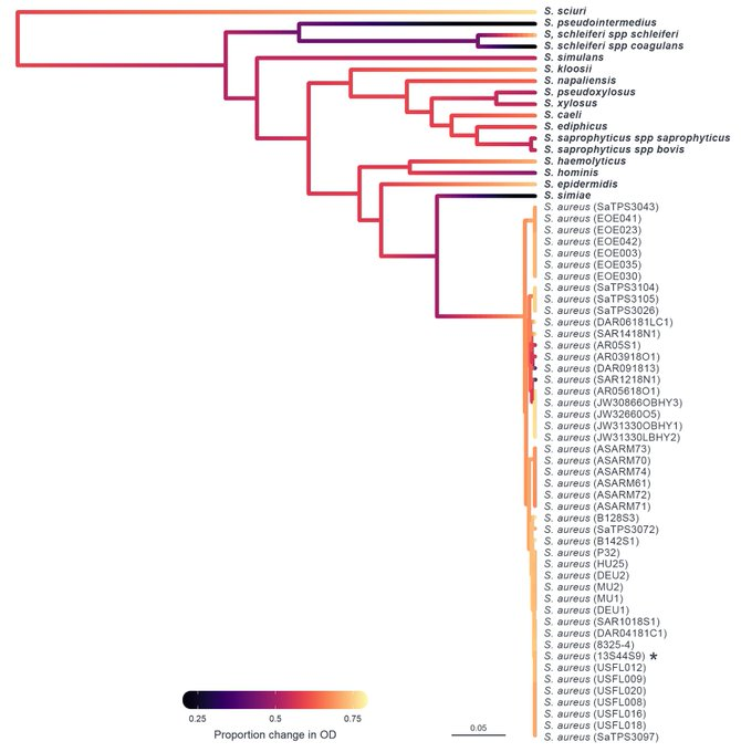 Zamin Iqbal (@zaminiqbal@mstdn.science) - mstdn.science