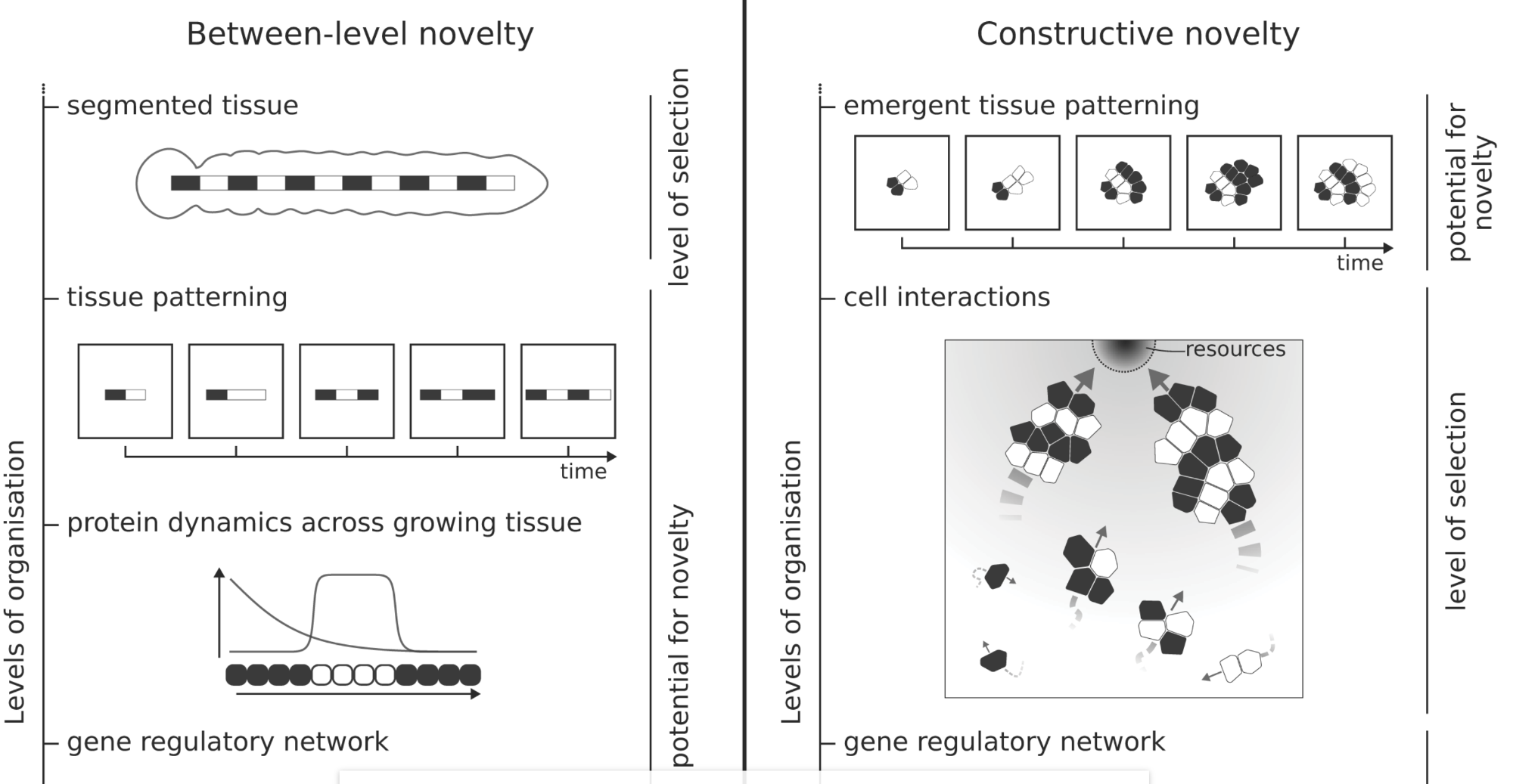 Bram van Dijk (@bramvandijk88@mstdn.science) - mstdn.science