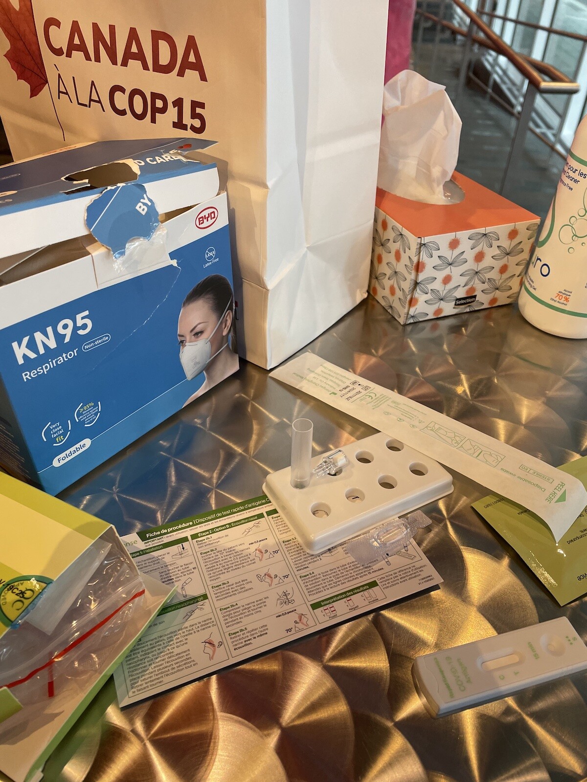 Annie Labrecque (@ninilab@mstdn.science) - mstdn.science