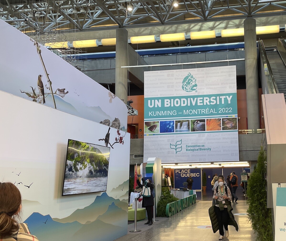 Annie Labrecque (@ninilab@mstdn.science) - mstdn.science