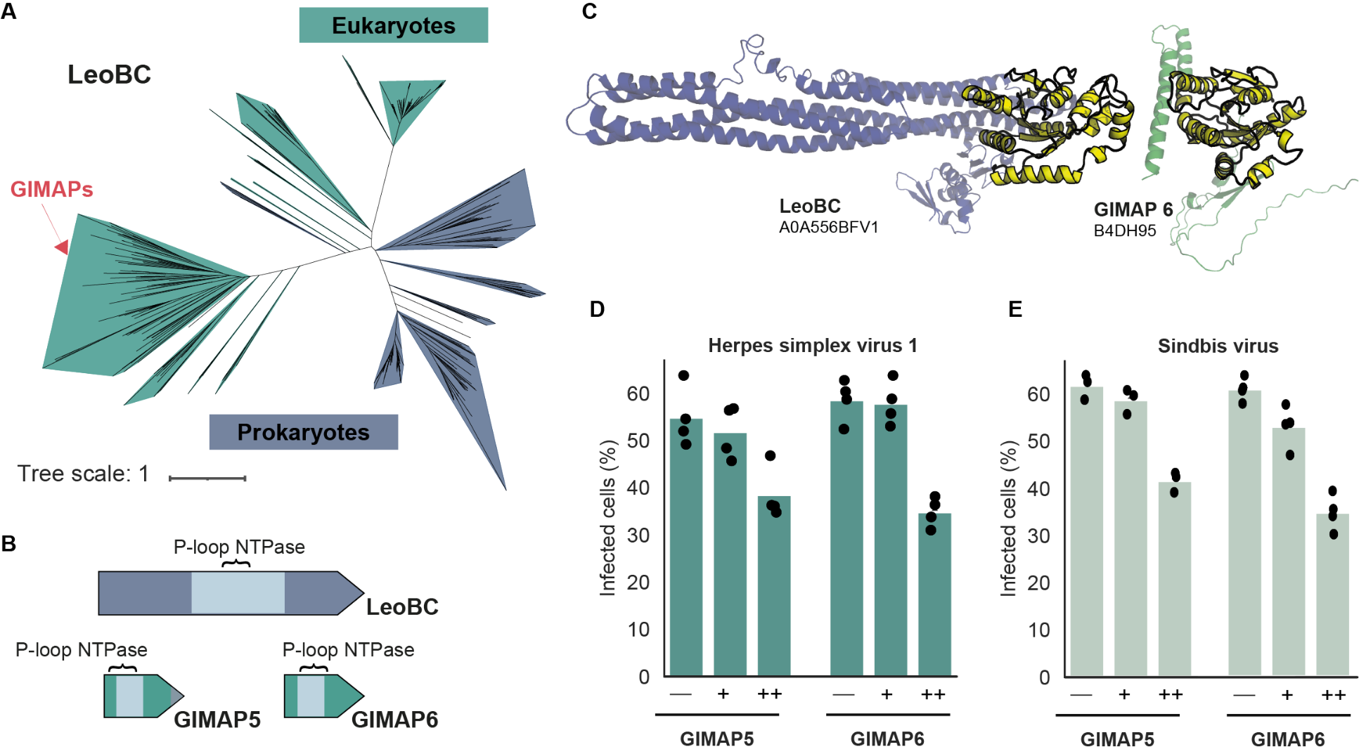 Zamin Iqbal (@zaminiqbal@mstdn.science) - mstdn.science