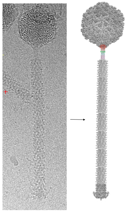 Rob Fagan is on ASOS (@RobFagan@mstdn.science) - mstdn.science
