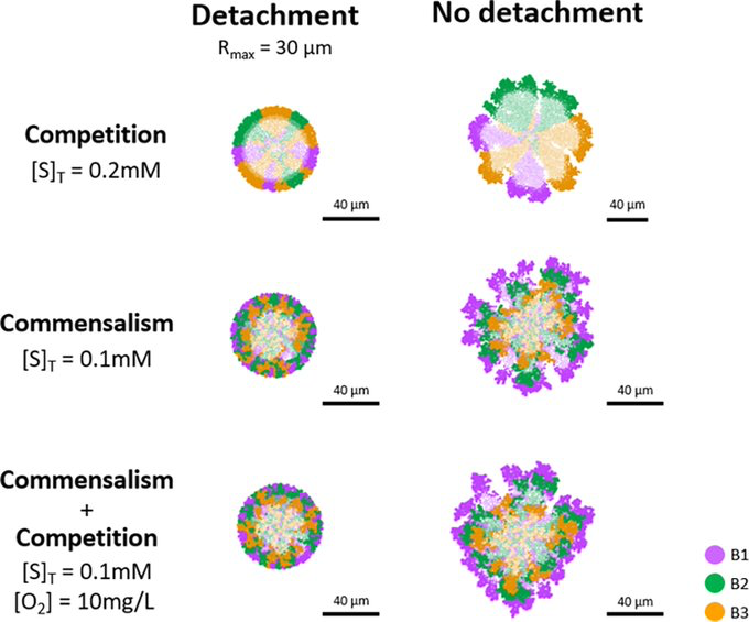 Bram van Dijk (@bramvandijk88@mstdn.science) - mstdn.science