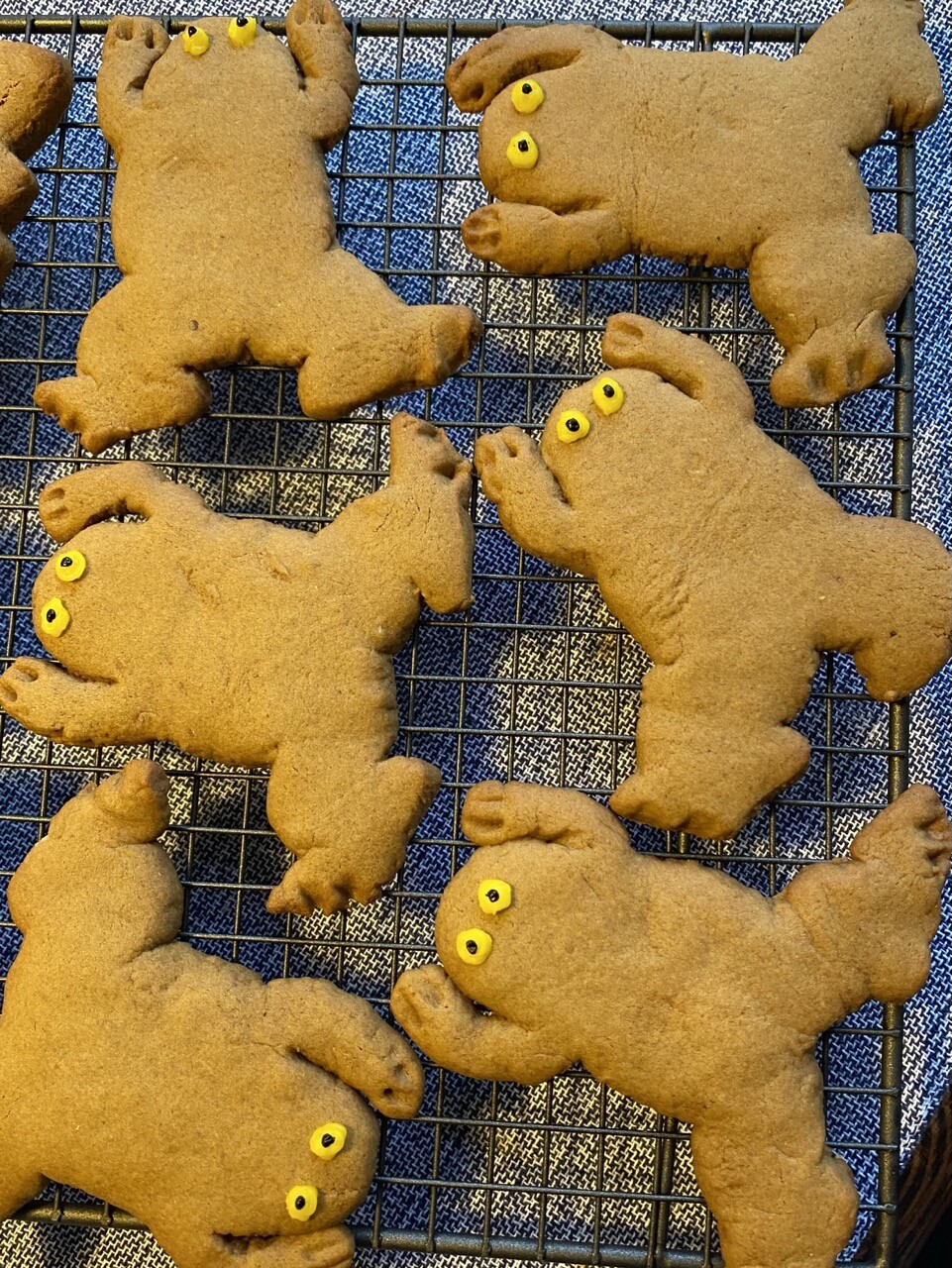 Phoebe Chapman (@PhoebeAChapman@mstdn.science) - mstdn.science