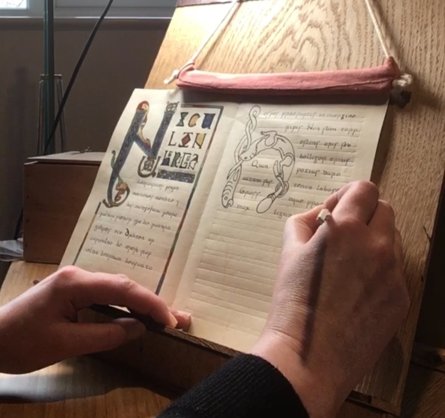 Freya Harrison (@friendlymicrobe@mstdn.science) - mstdn.science