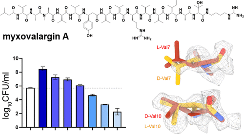 Helmholtz_HIPS (@helmholtz_hips@mstdn.science) - mstdn.science