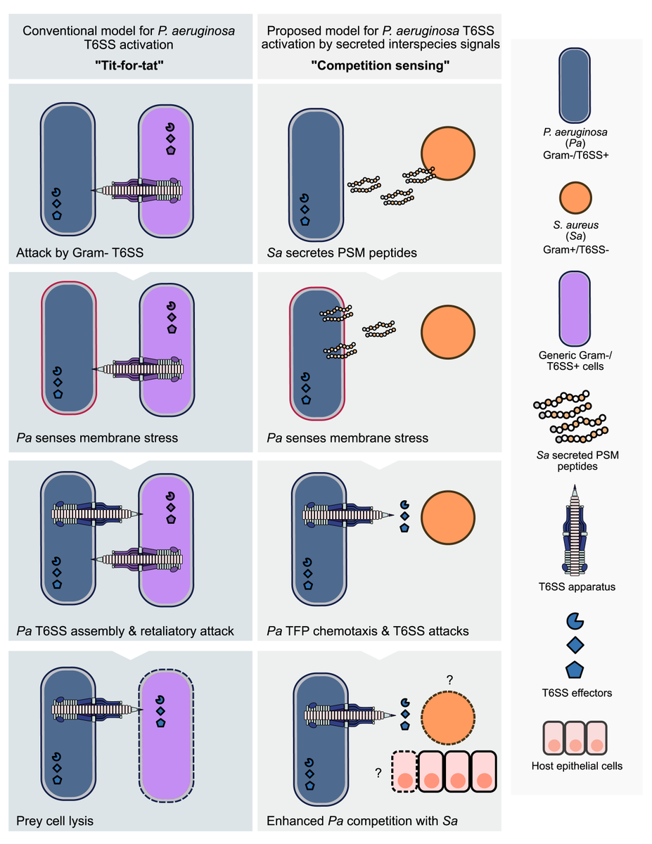 Tami Lieberman (@contaminatedsci@mstdn.science) - mstdn.science