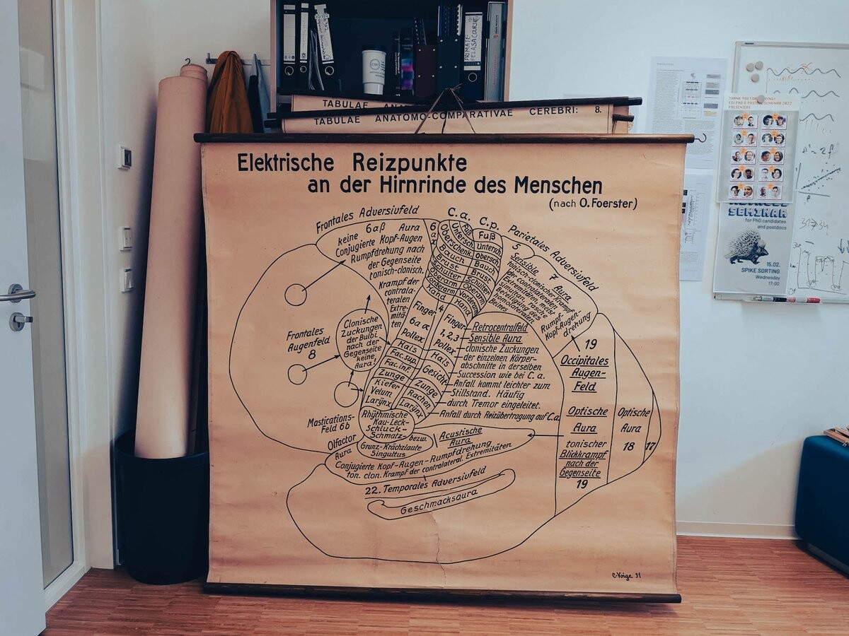 Mara Mather (@maramather@mstdn.social) - Mastodon 🐘