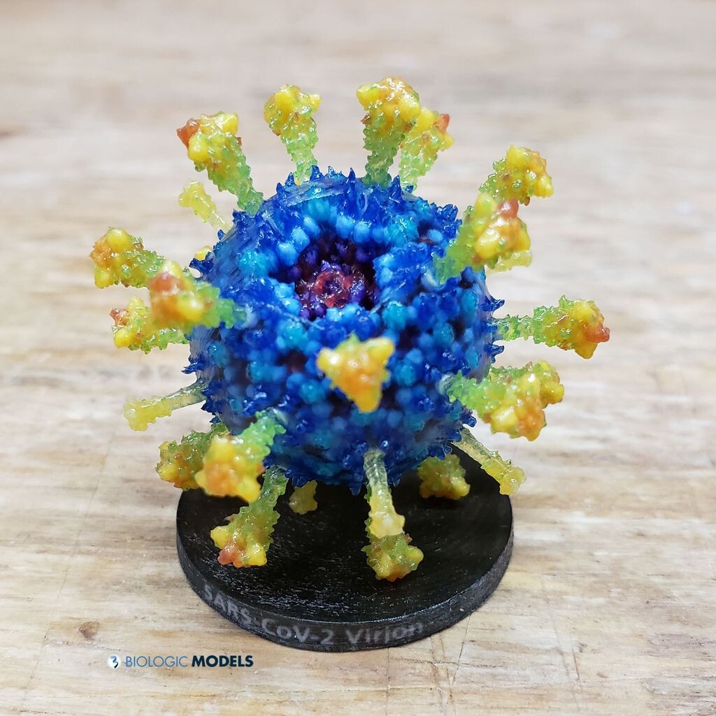 Biologic Models (@biologicmodels@mstdn.science) - mstdn.science