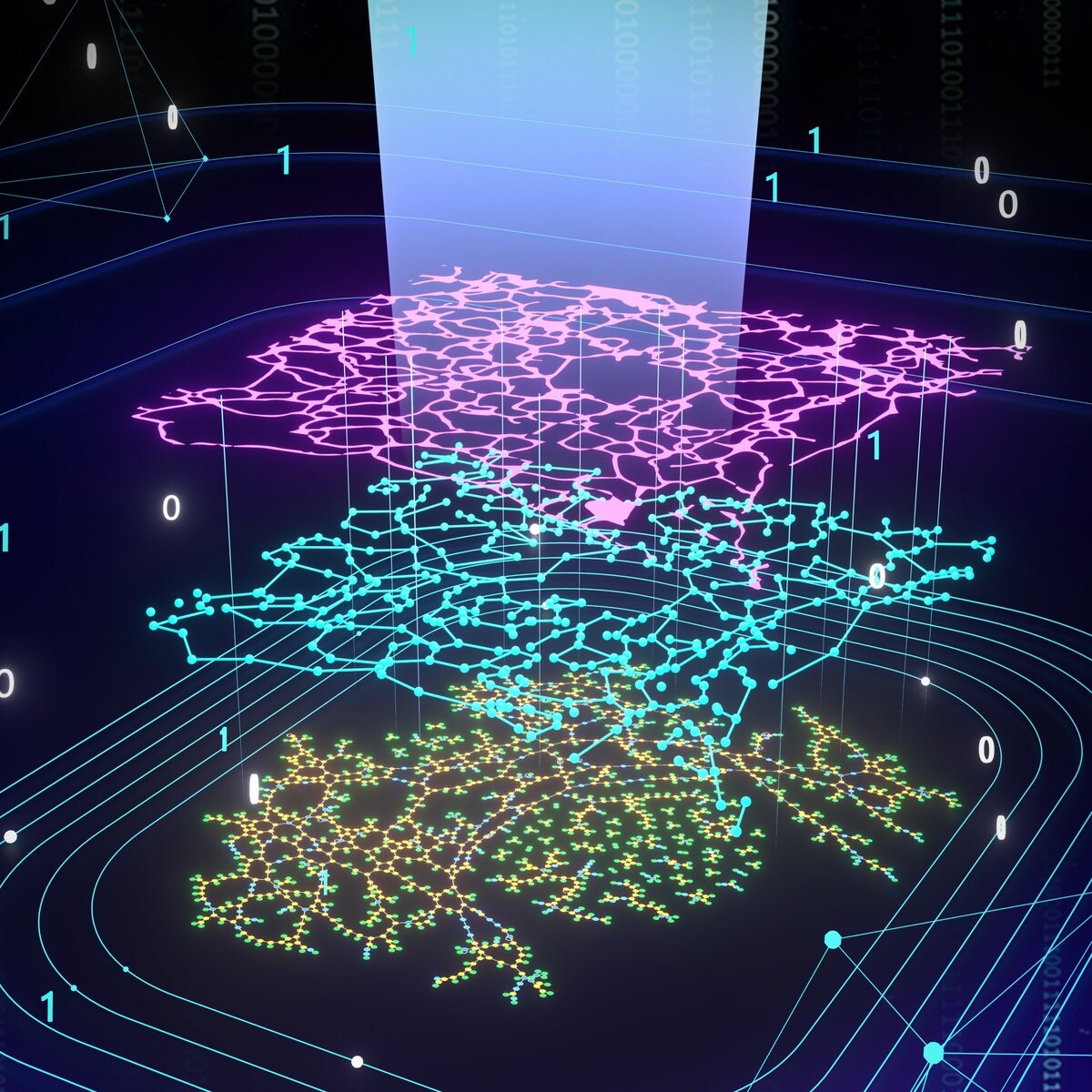 Valentin Couvreur (@Valentin@mstdn.science) - mstdn.science