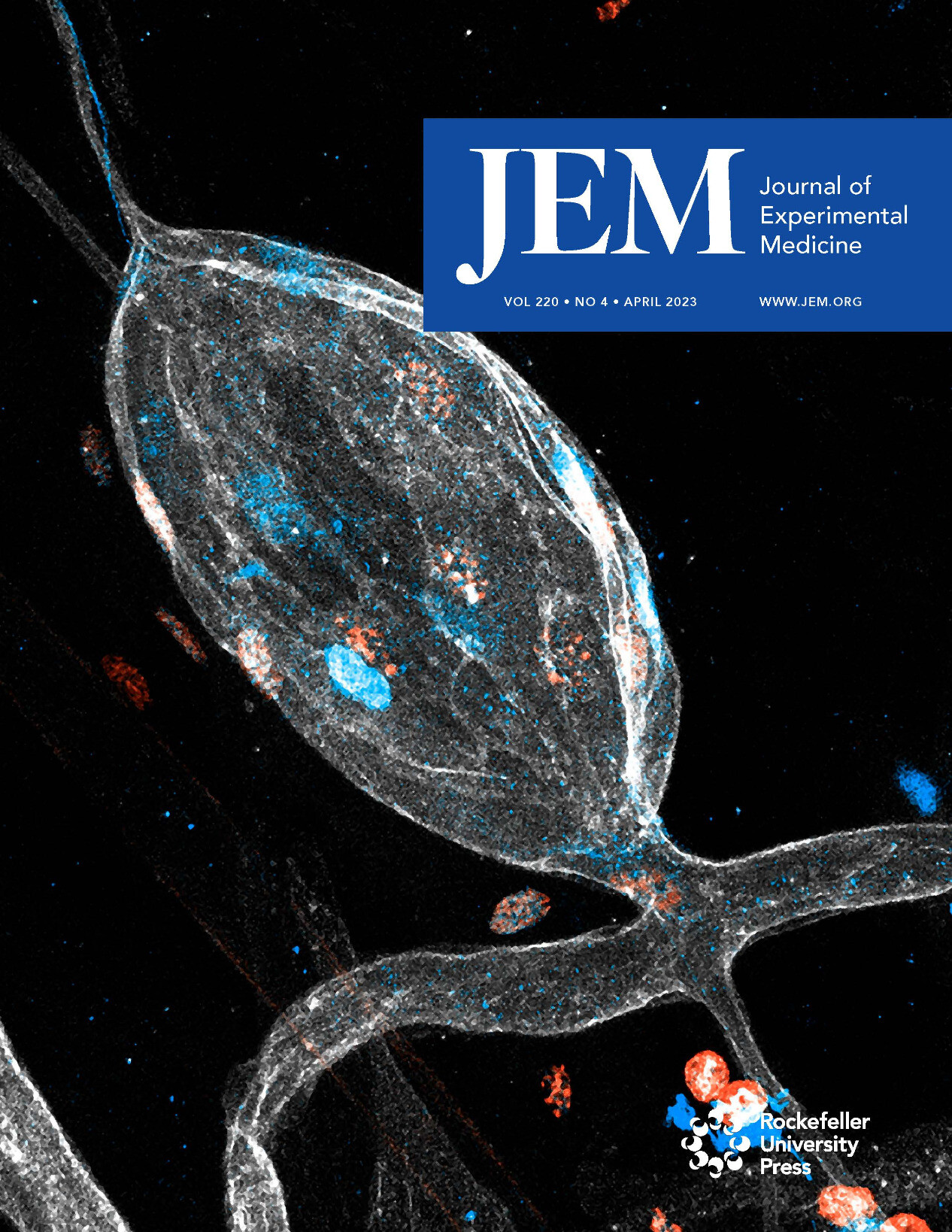 Journal Experimental Medicine (@JExpMed@mstdn.science) - mstdn.science