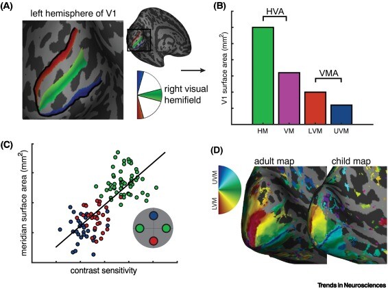 Trends in Neurosciences (@TrendsNeuro@mstdn.science) - mstdn.science