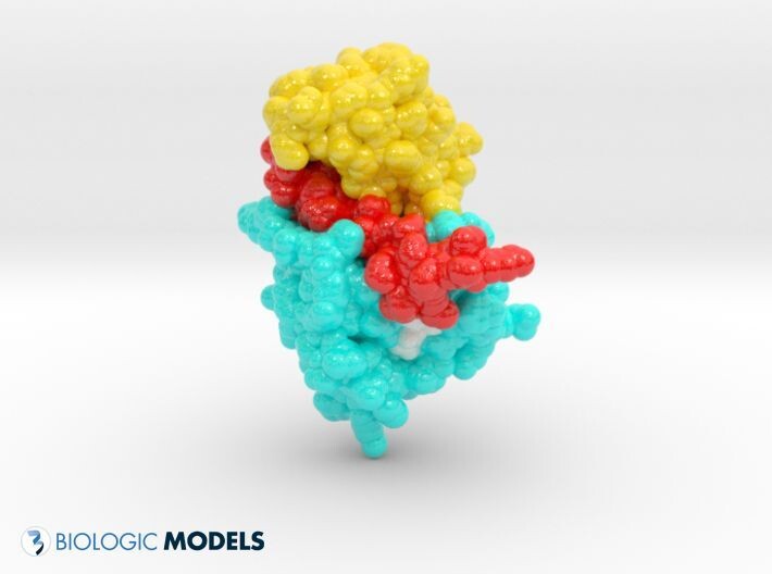 Biologic Models (@biologicmodels@mstdn.science) - mstdn.science