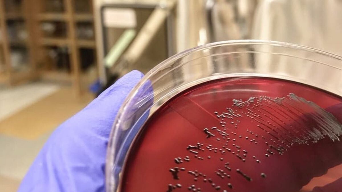 Christian Diener (@thaasophobia@mstdn.science) - mstdn.science