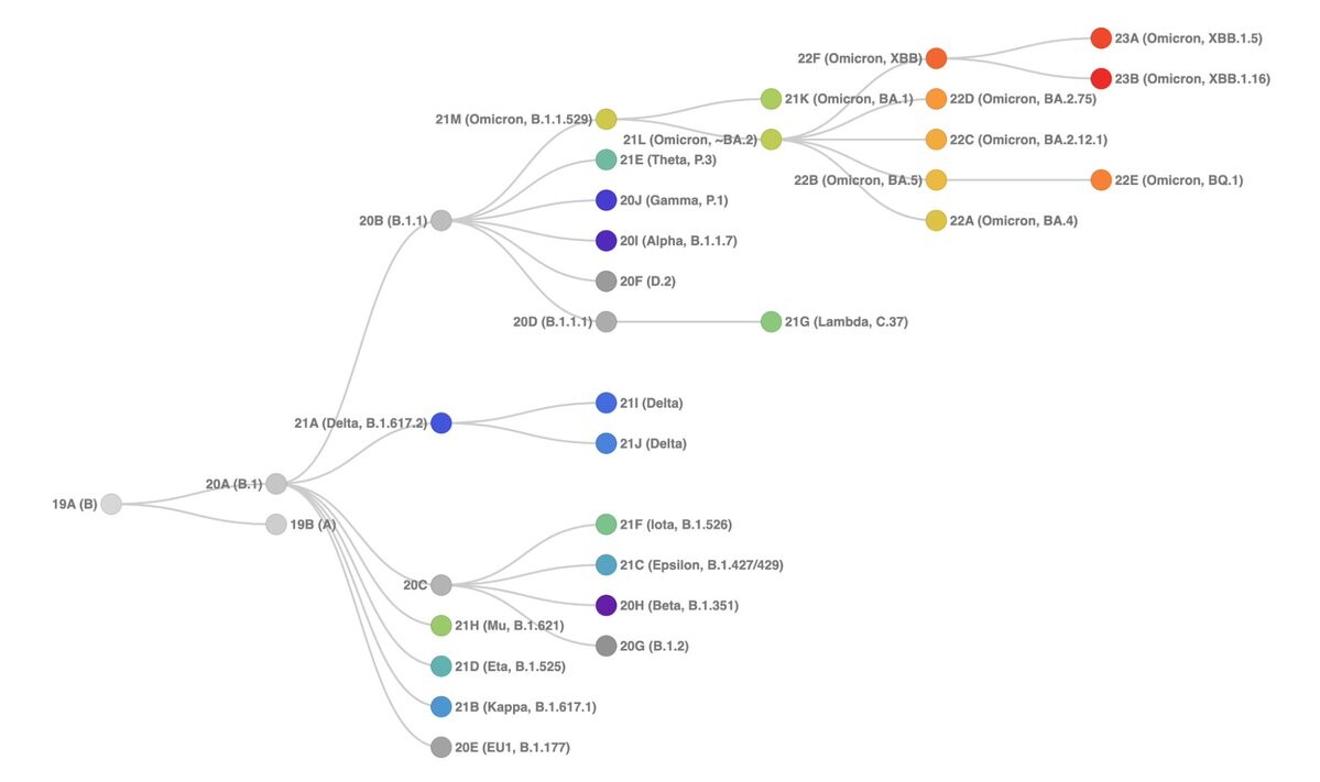 Nextstrain (@nextstrain@mstdn.science) - mstdn.science