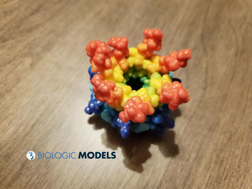 Biologic Models (@biologicmodels@mstdn.science) - mstdn.science
