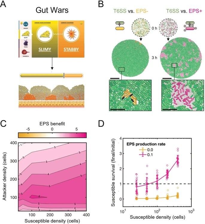 Michael Brockhurst (@BrockhurstLab@ecoevo.social) - ecoevo.social