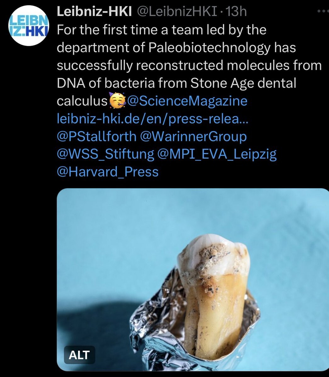 Akos T Kovacs (@EvolvedBiofilm@mstdn.science) - mstdn.science