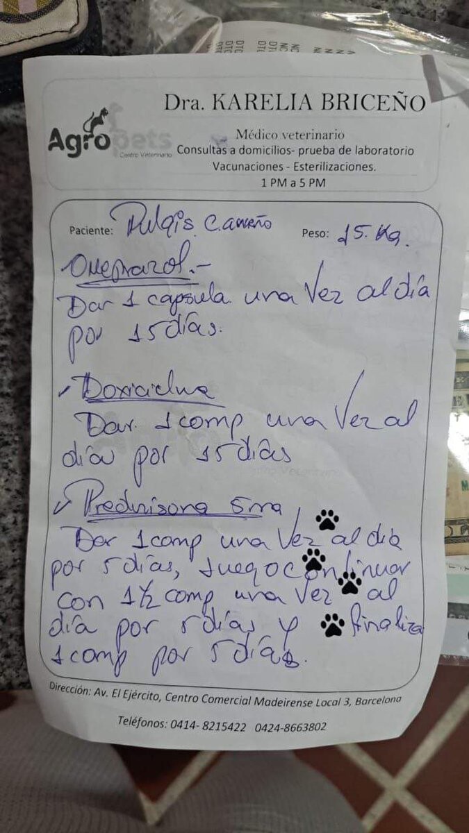 Admin Córdoba de León (@AdminCordoba@mstdn.science) - mstdn.science