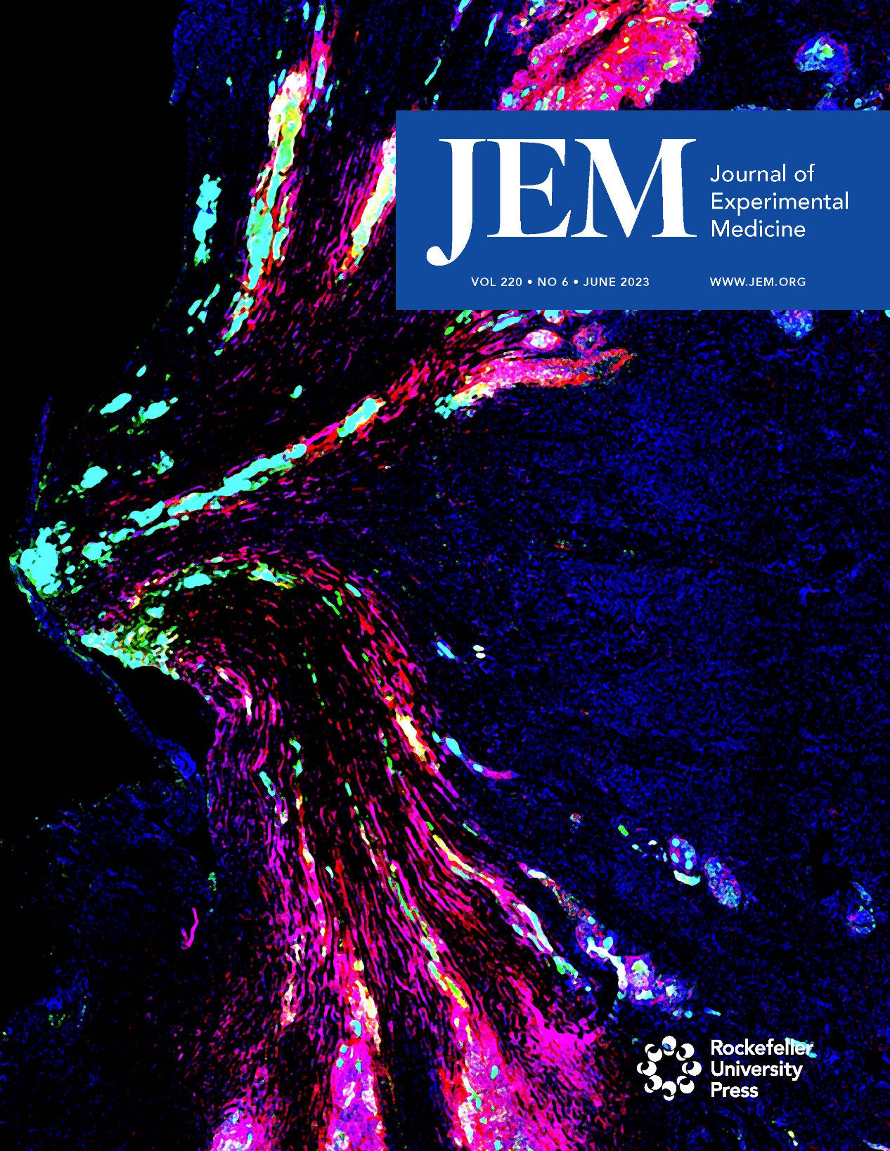 Journal Experimental Medicine (@JExpMed@mstdn.science) - mstdn.science