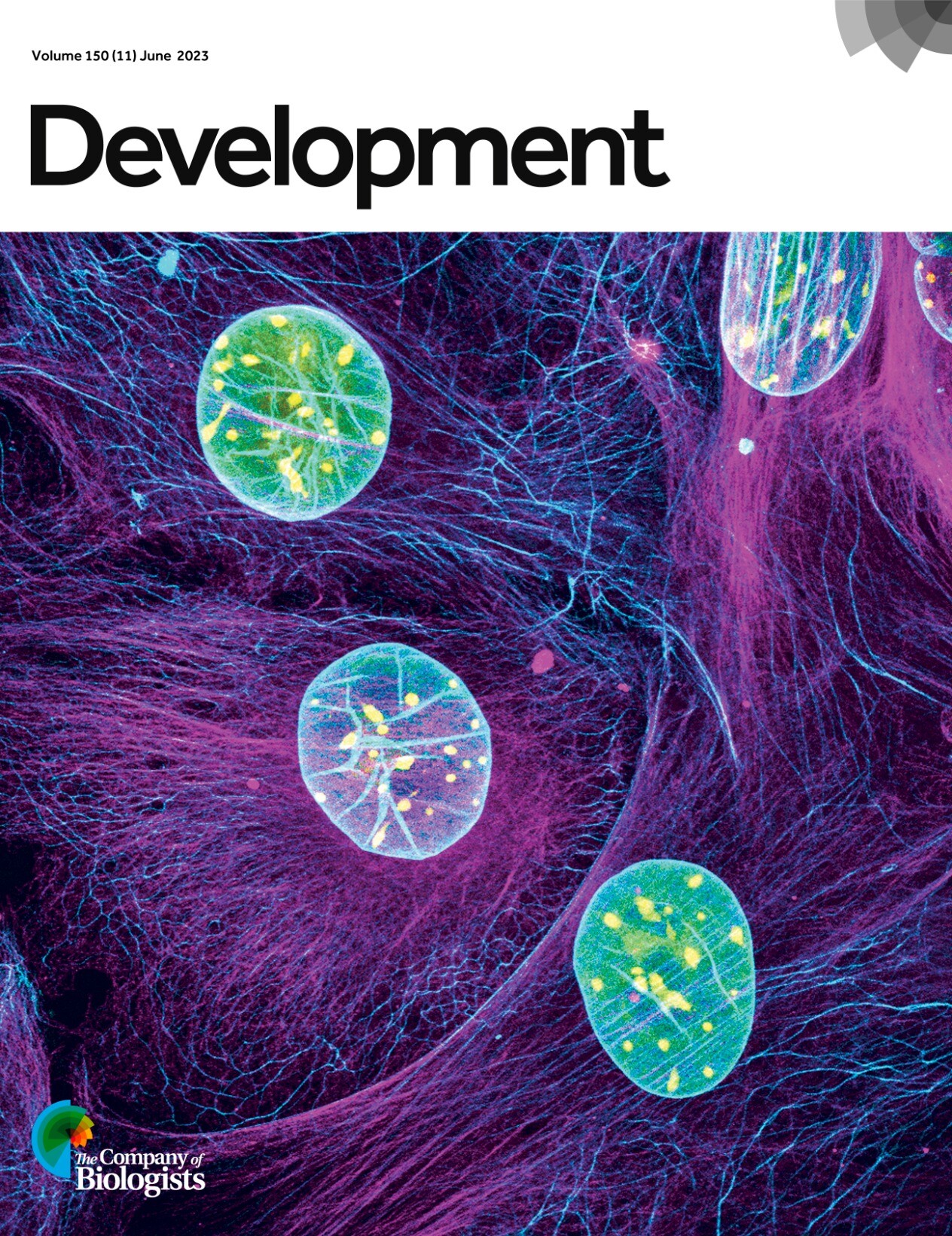 Development (@Dev_journal@mstdn.science) - mstdn.science