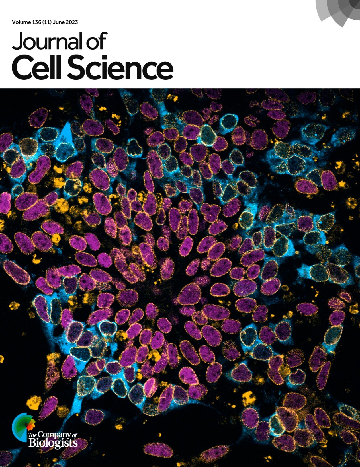 Journal of Cell Science (@J_Cell_Sci@mstdn.science) - mstdn.science