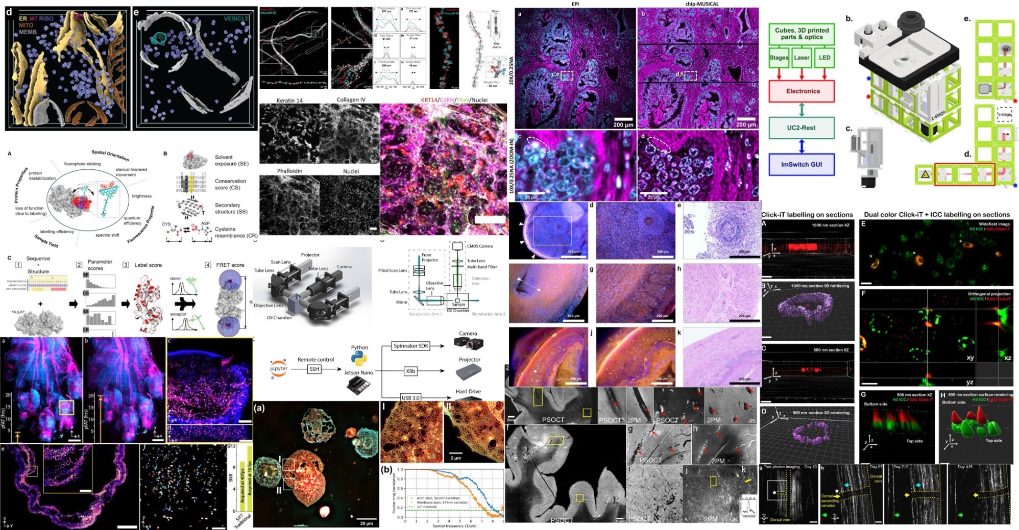 preLights (@preLights@mstdn.science) - mstdn.science