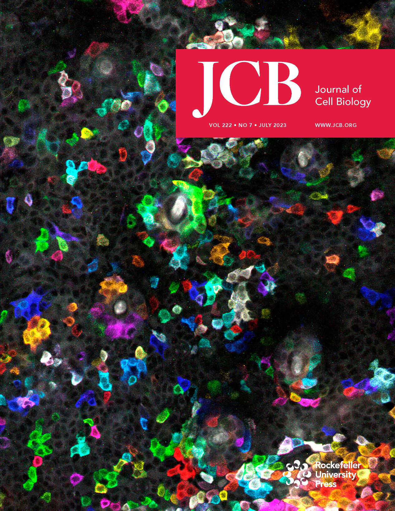 Journal of Cell Biology (JCB) (@JCellBiol@mstdn.science) - mstdn.science