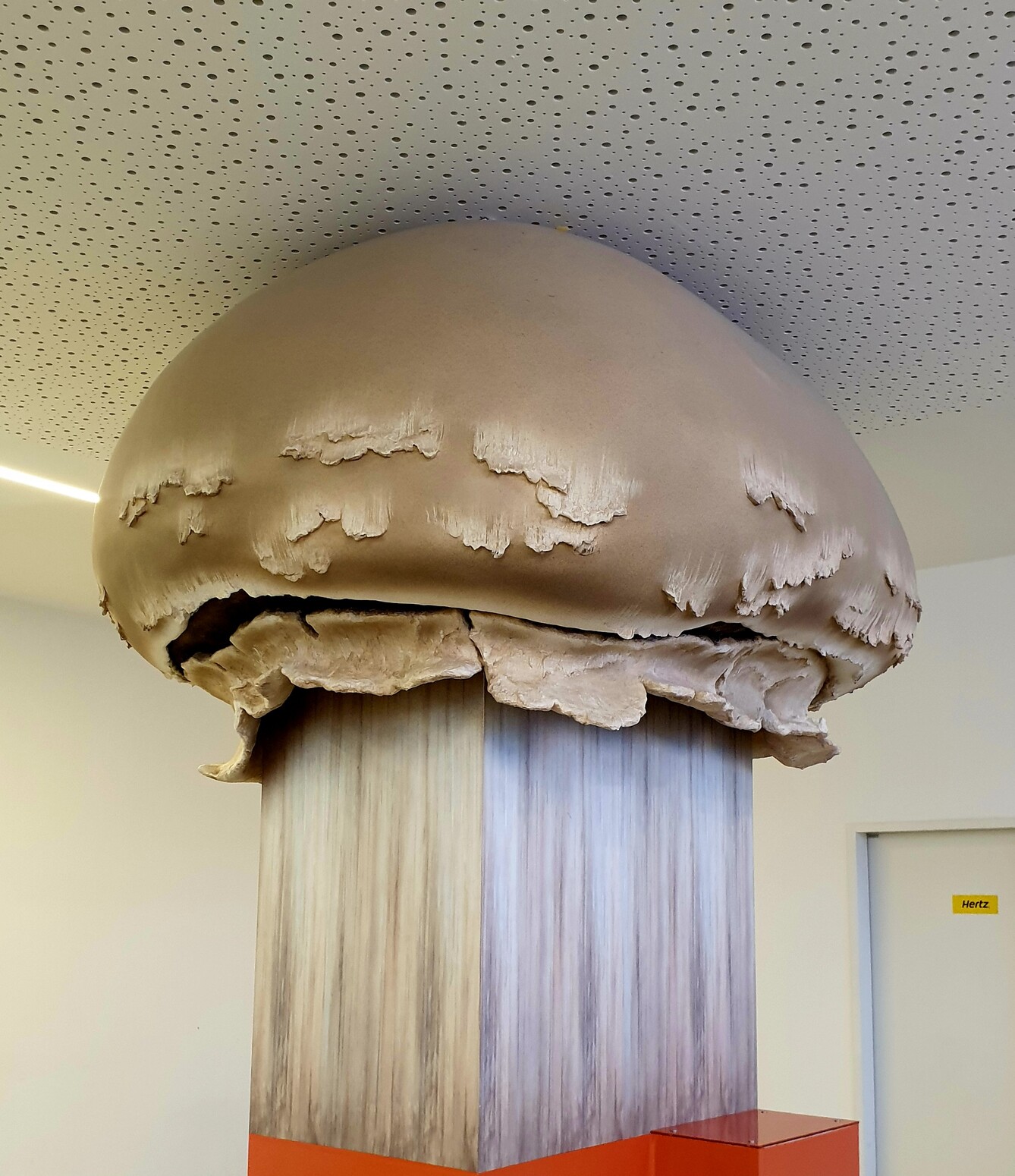 Vanda Lerer (@drlerer@mstdn.science) - mstdn.science