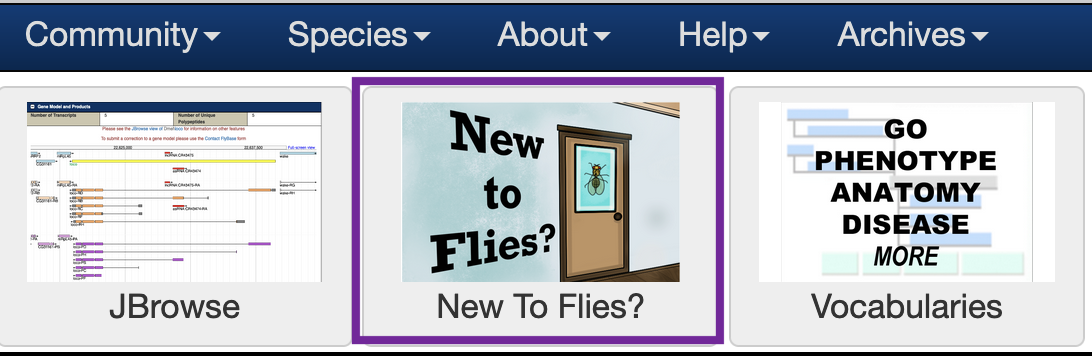 FlyBase (@FlyBase@mstdn.science) - mstdn.science