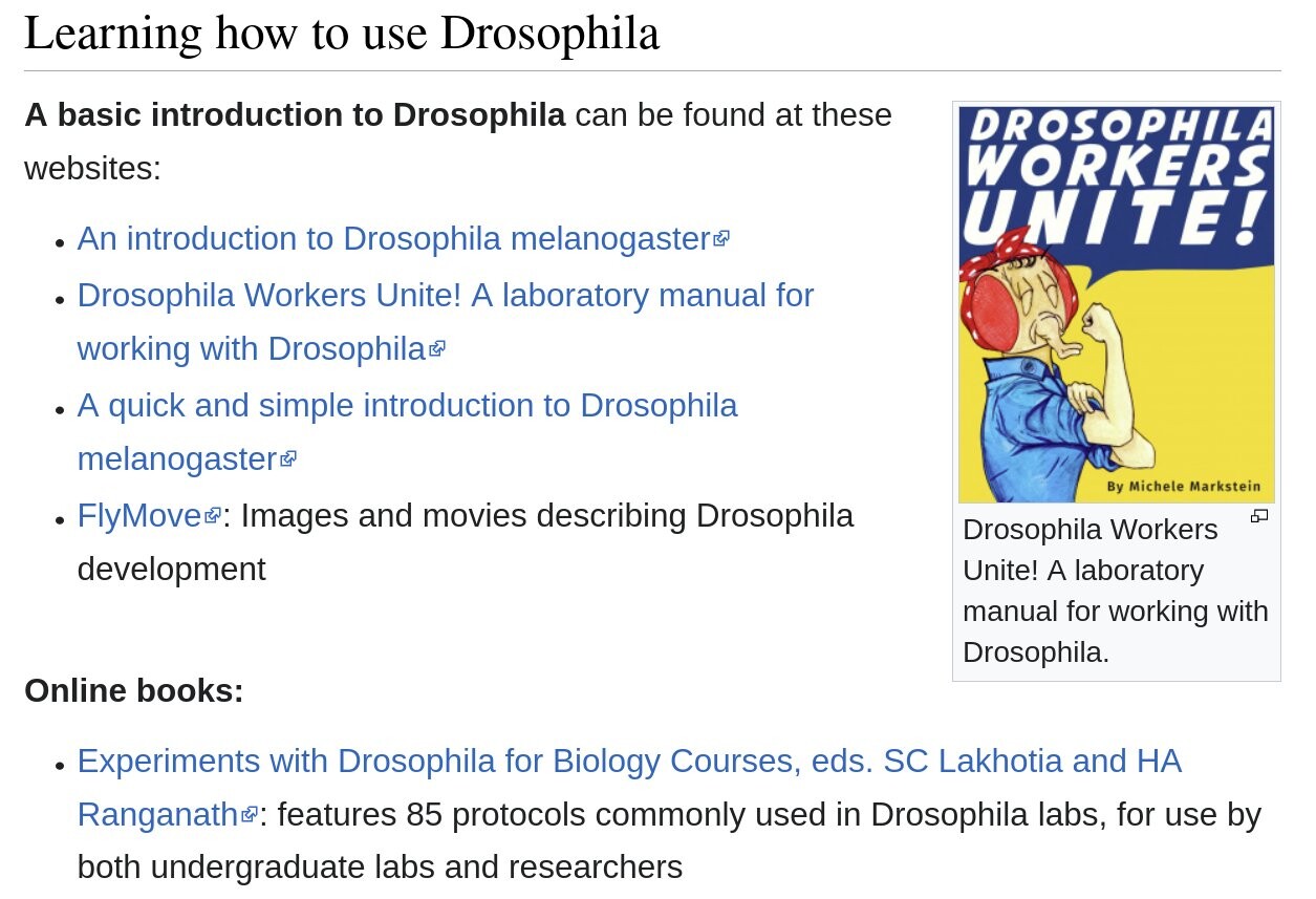 FlyBase (@FlyBase@mstdn.science) - mstdn.science