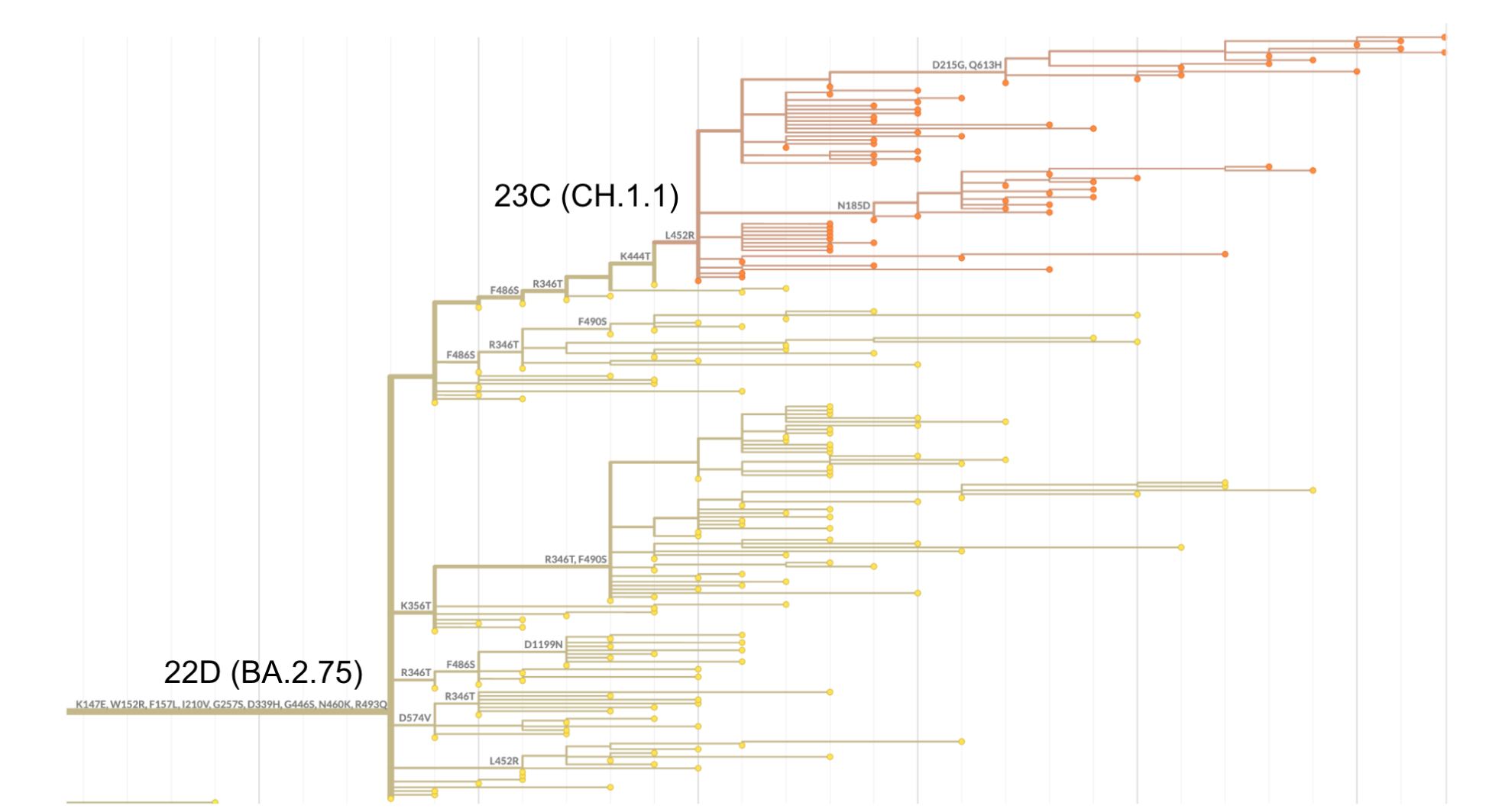 Nextstrain (@nextstrain@mstdn.science) - mstdn.science