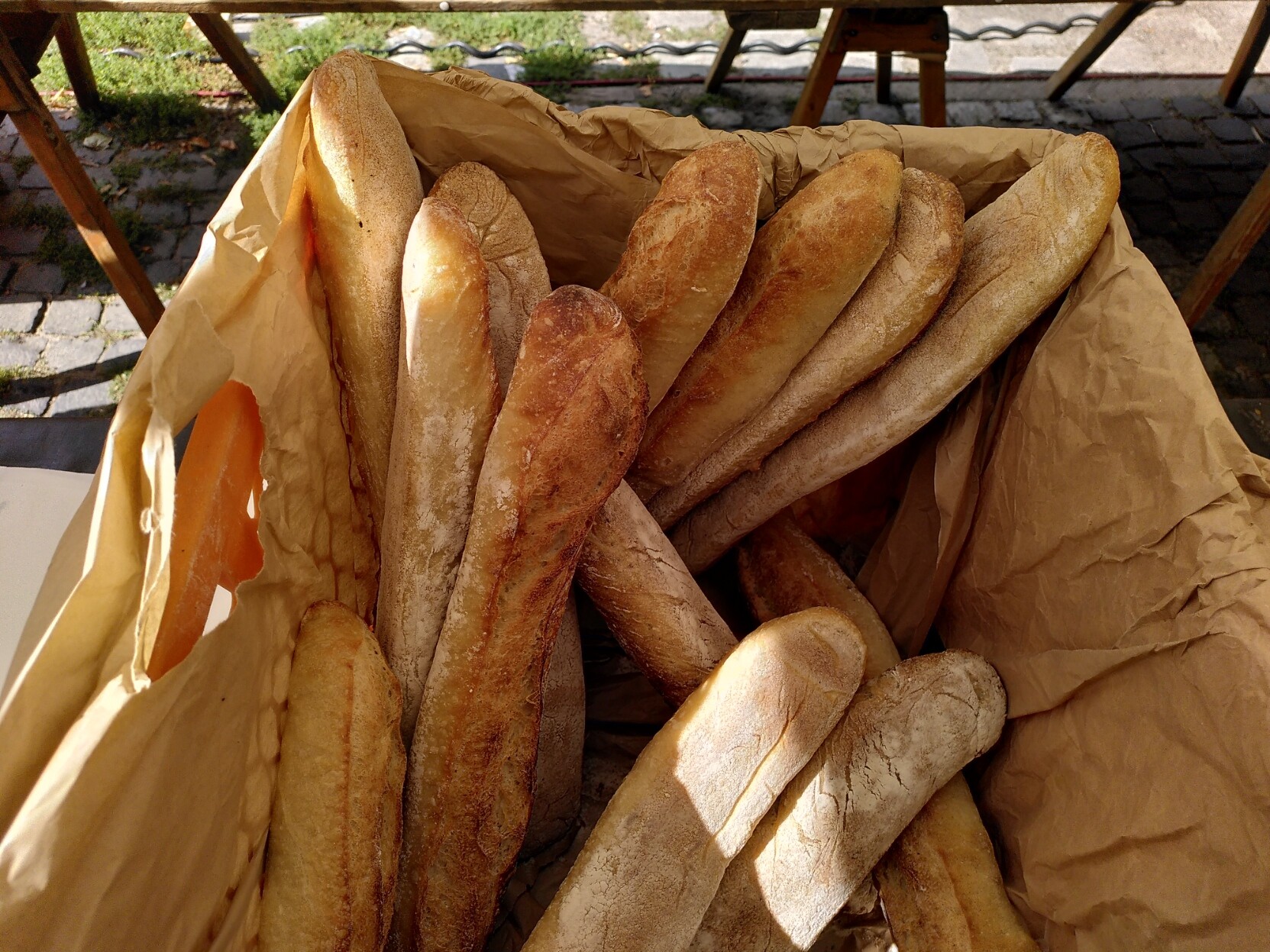 christoph_STCmicrobeblog (@christoph_STCmicrobeblog@mstdn.science ...