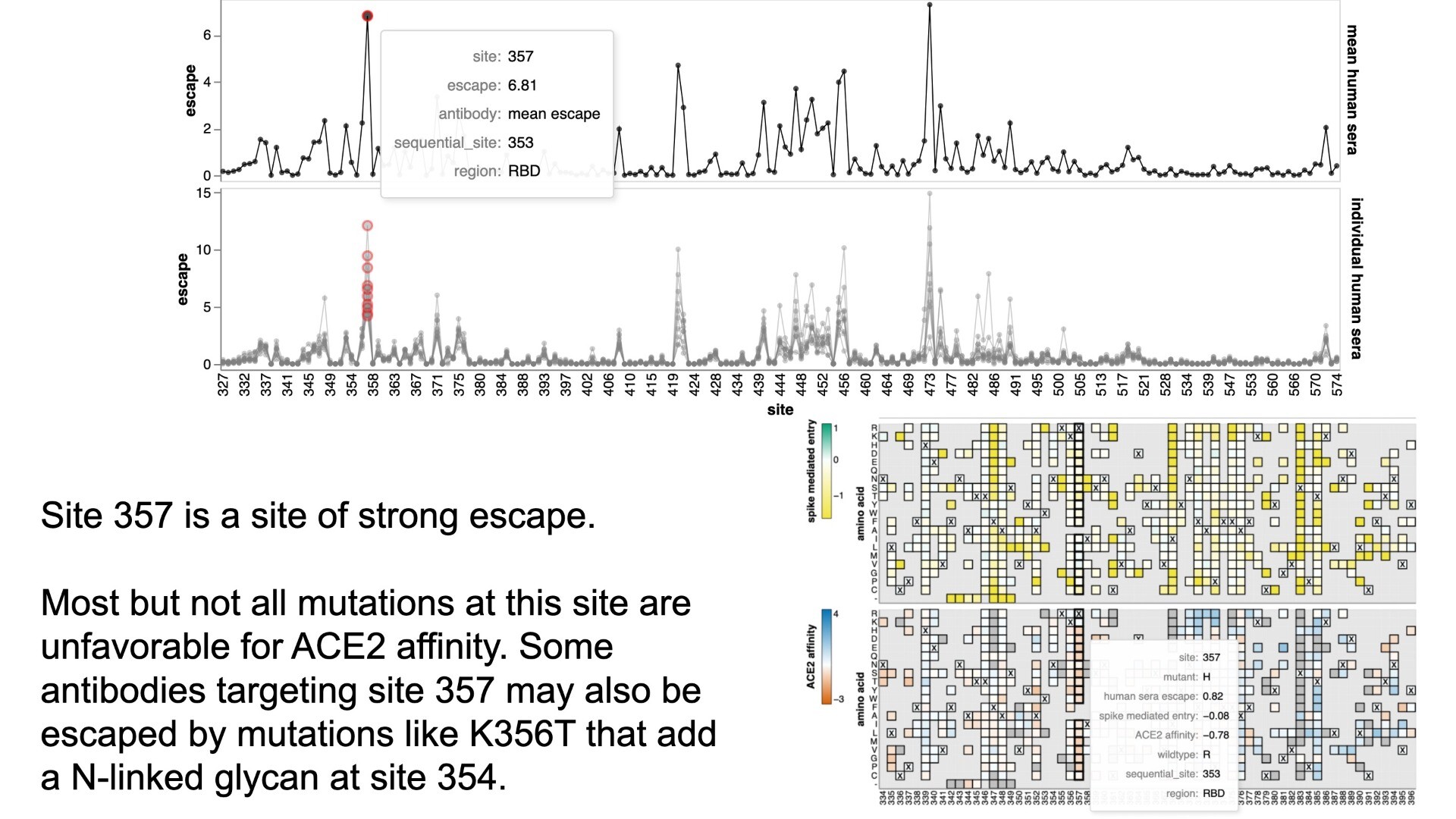 Bloom Lab (@jbloom_lab@mstdn.science) - mstdn.science