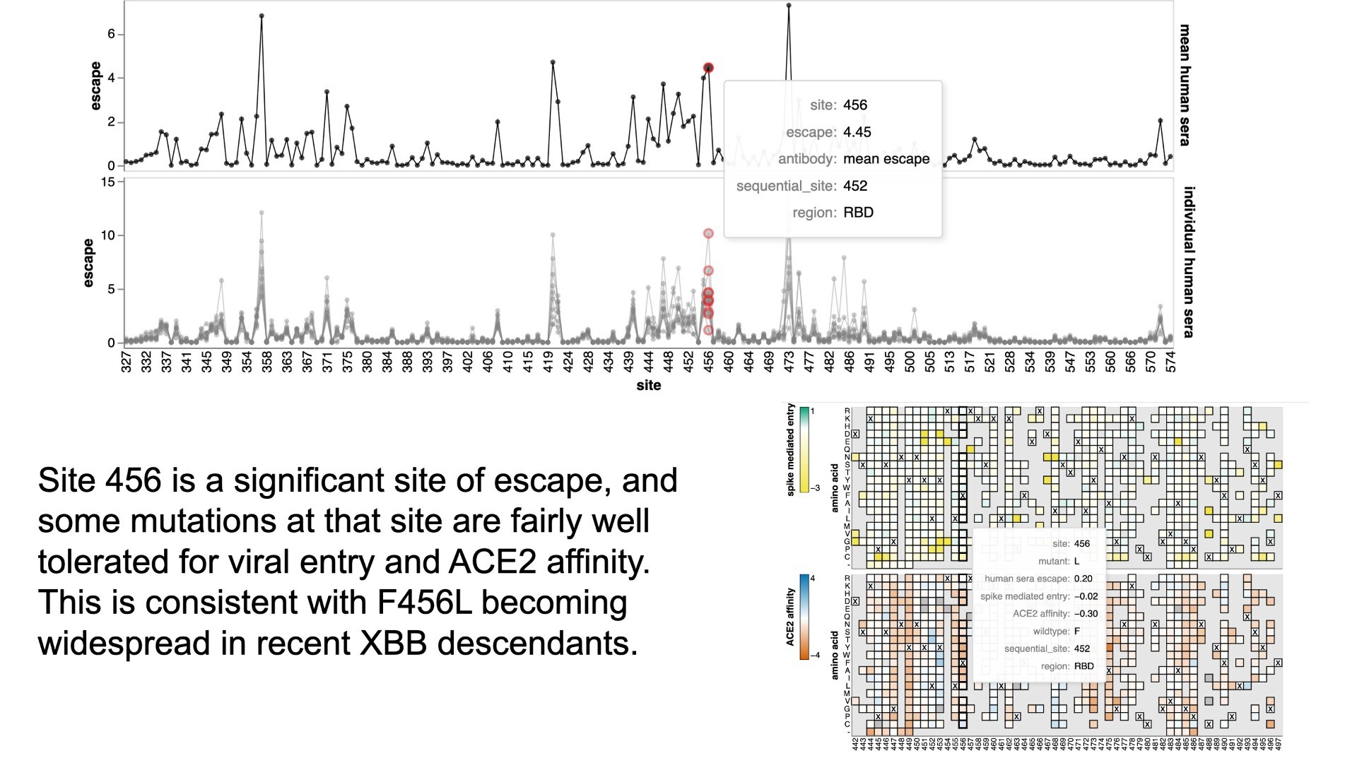 Bloom Lab (@jbloom_lab@mstdn.science) - mstdn.science