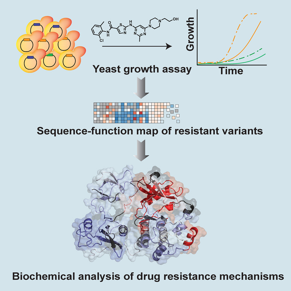 CRAIG M CREWS (@crews@mstdn.science) - mstdn.science