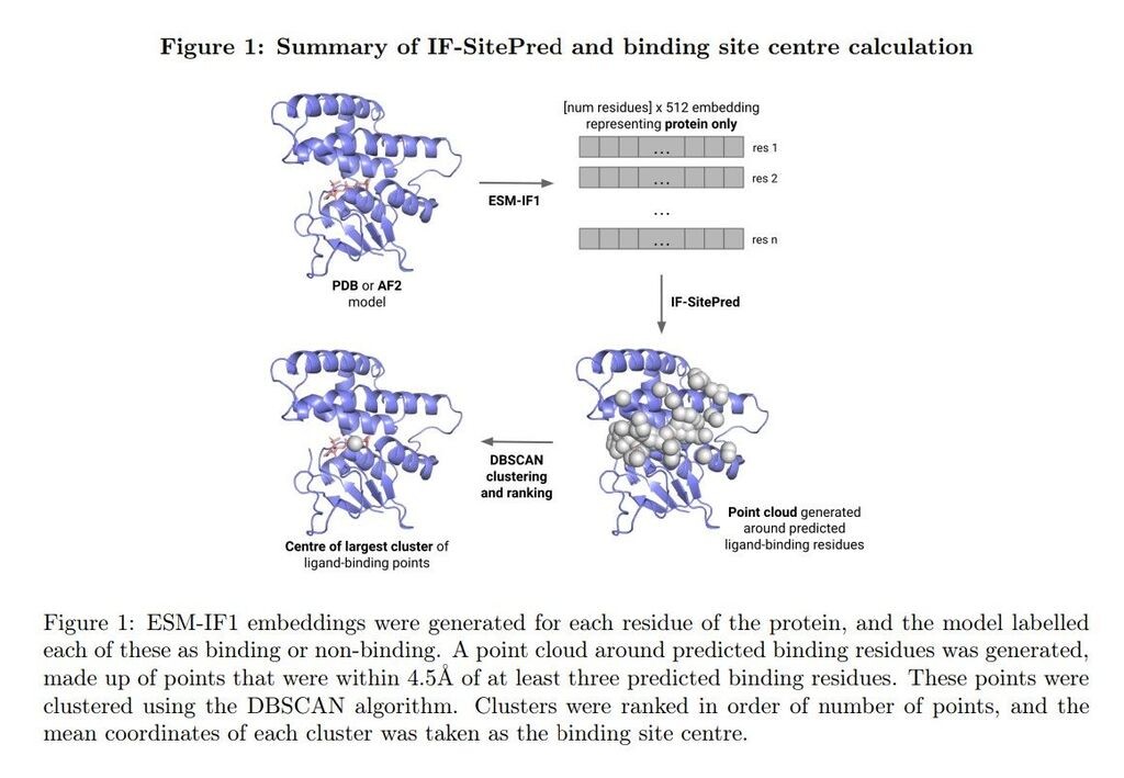 CRAIG M CREWS (@crews@mstdn.science) - mstdn.science