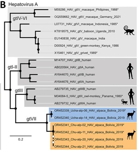 Victor M. Corman (@vmcorman@mstdn.science) - mstdn.science