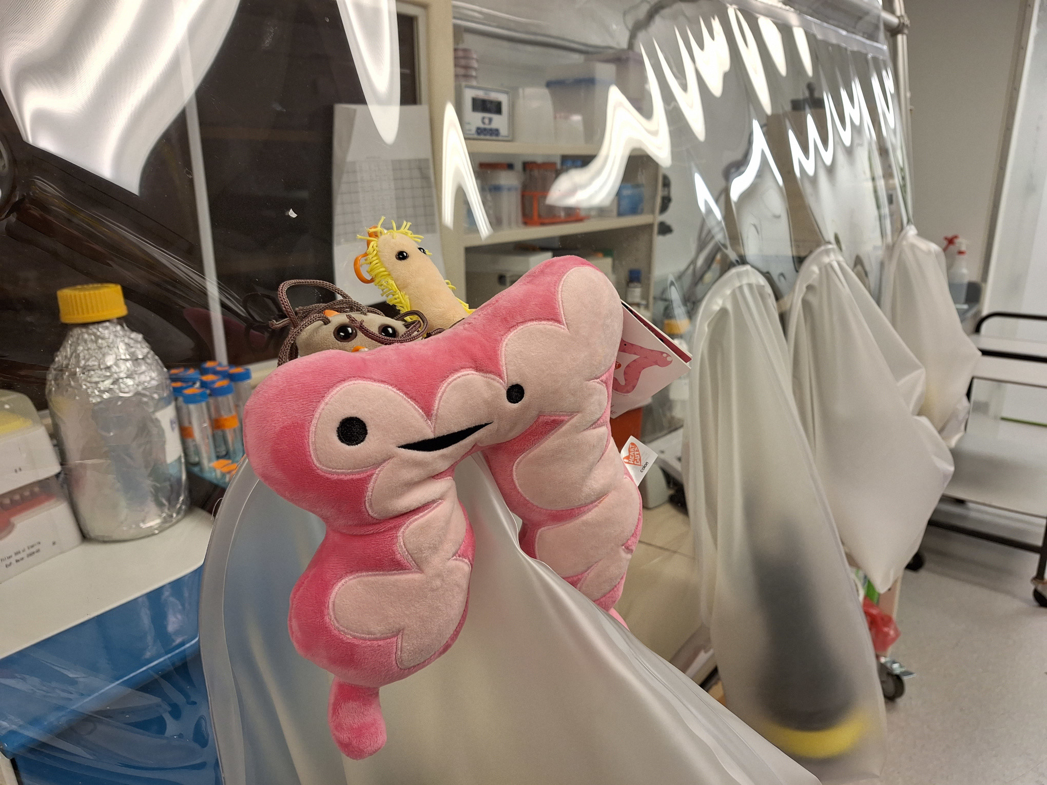 Christian Diener (@thaasophobia@mstdn.science) - mstdn.science