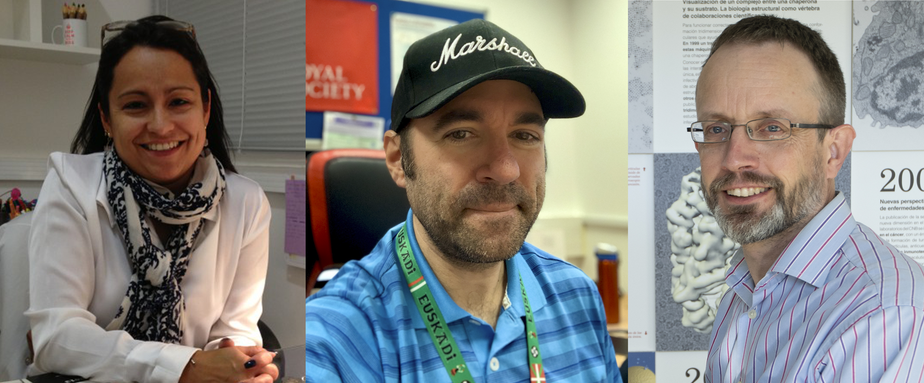 Tom Terwilliger (@terwilltom@mstdn.science) - mstdn.science