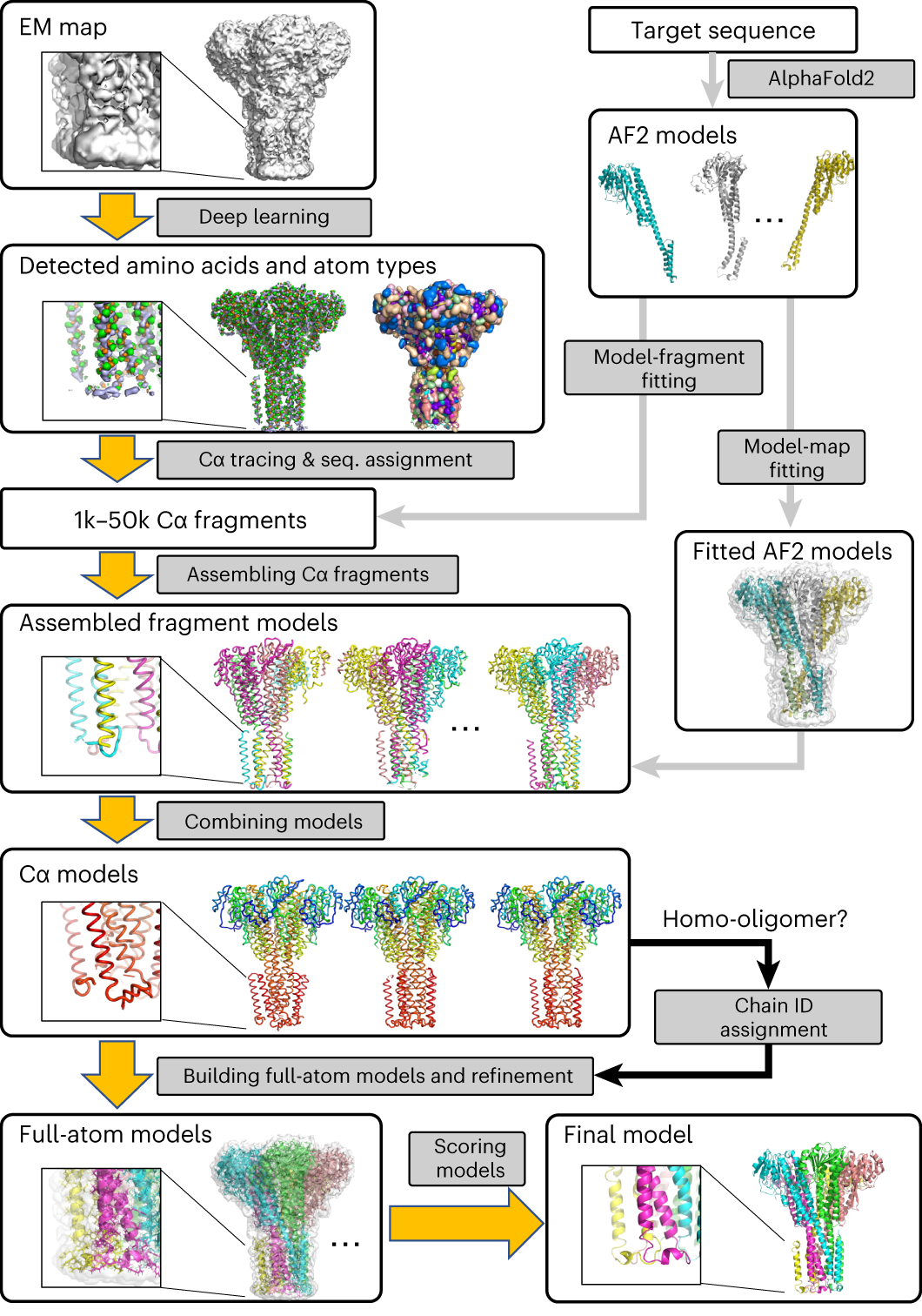 Tom Terwilliger (@terwilltom@mstdn.science) - mstdn.science